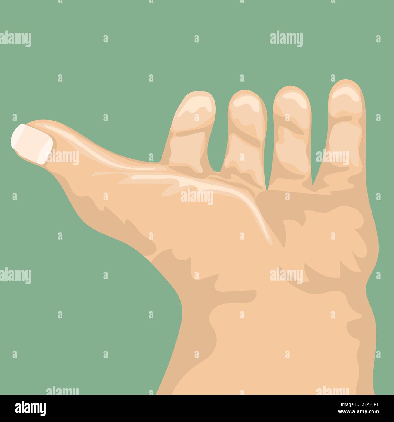 Opened male hand from back view. Cartoon style. Flat and solid color ...