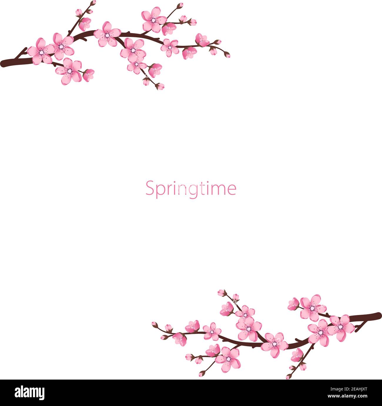 Cute Sakura flowers frame Stock Vector Image & Art - Alamy