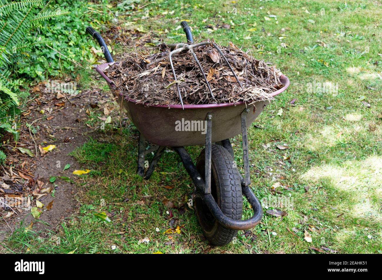 Wheelbarrow full of garden waste hi-res stock photography and images ...