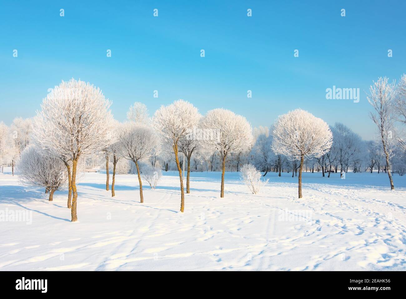 Rounded crown hi-res stock photography and images - Alamy