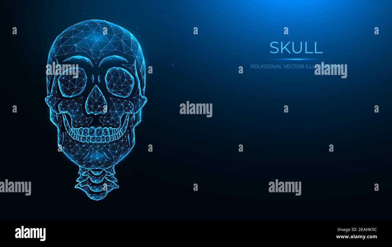 Polygonal vector illustration of a human skull, front view. Low poly ...