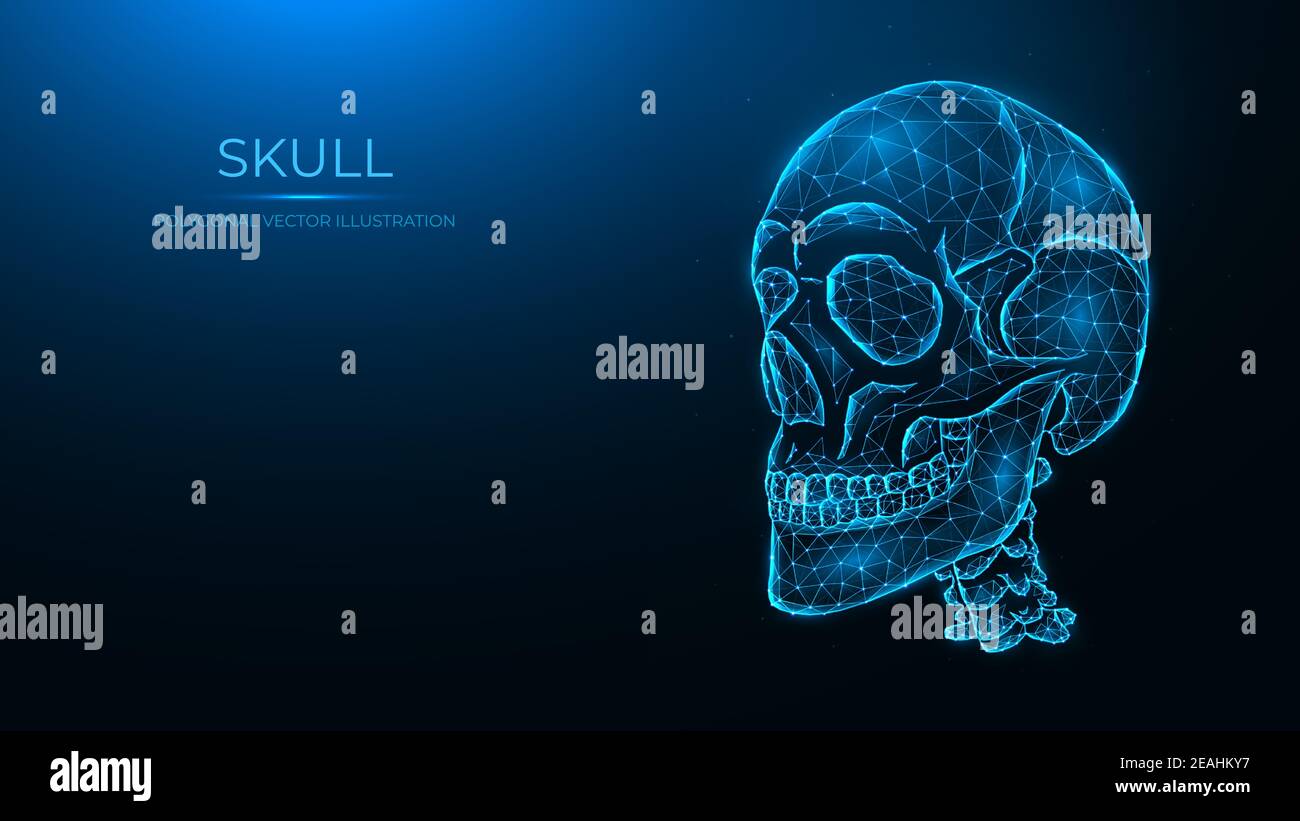 Polygonal vector illustration of a human skull, side view. Low poly ...