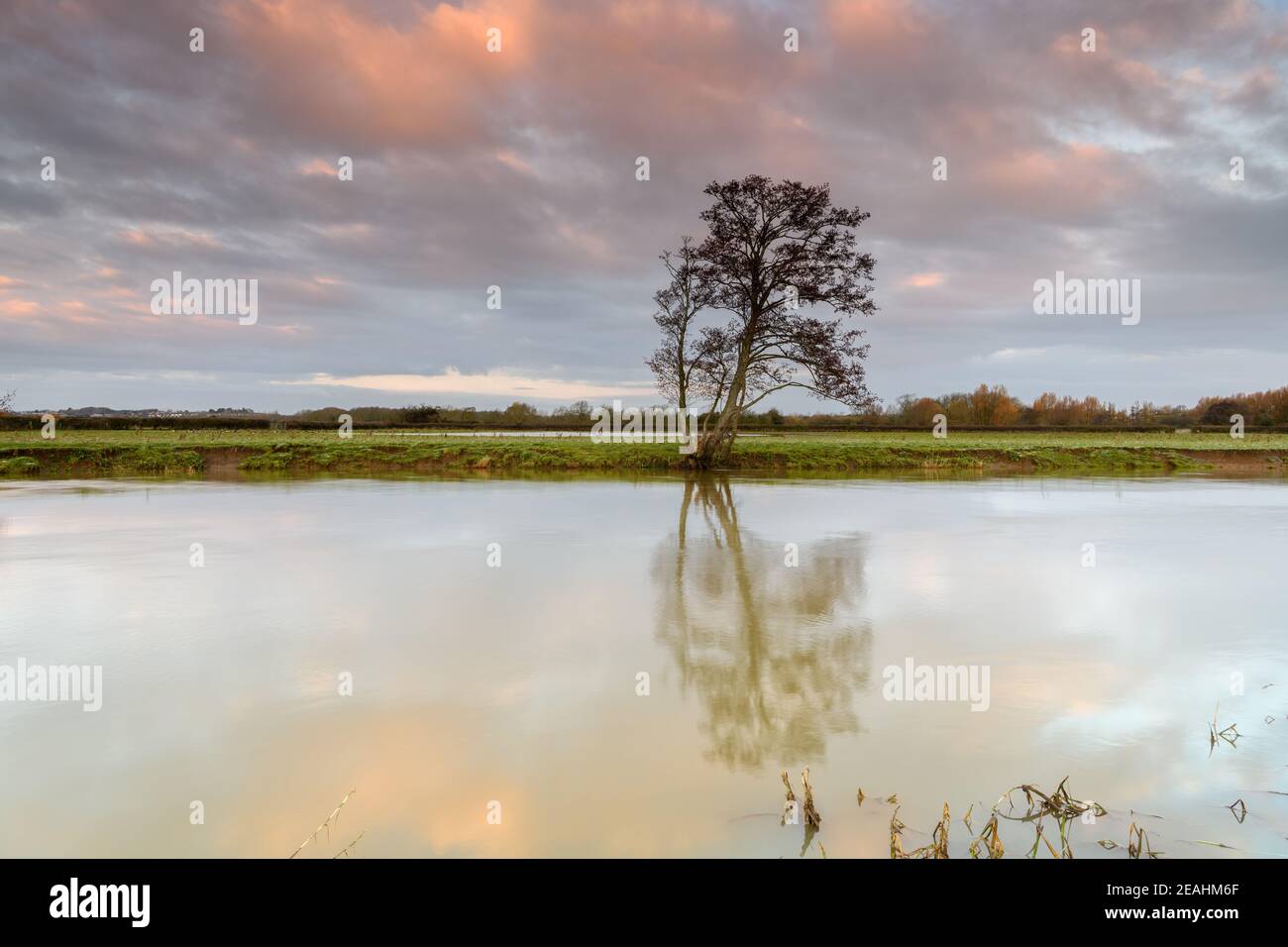 Sunrise on river nature hi-res stock photography and images - Alamy