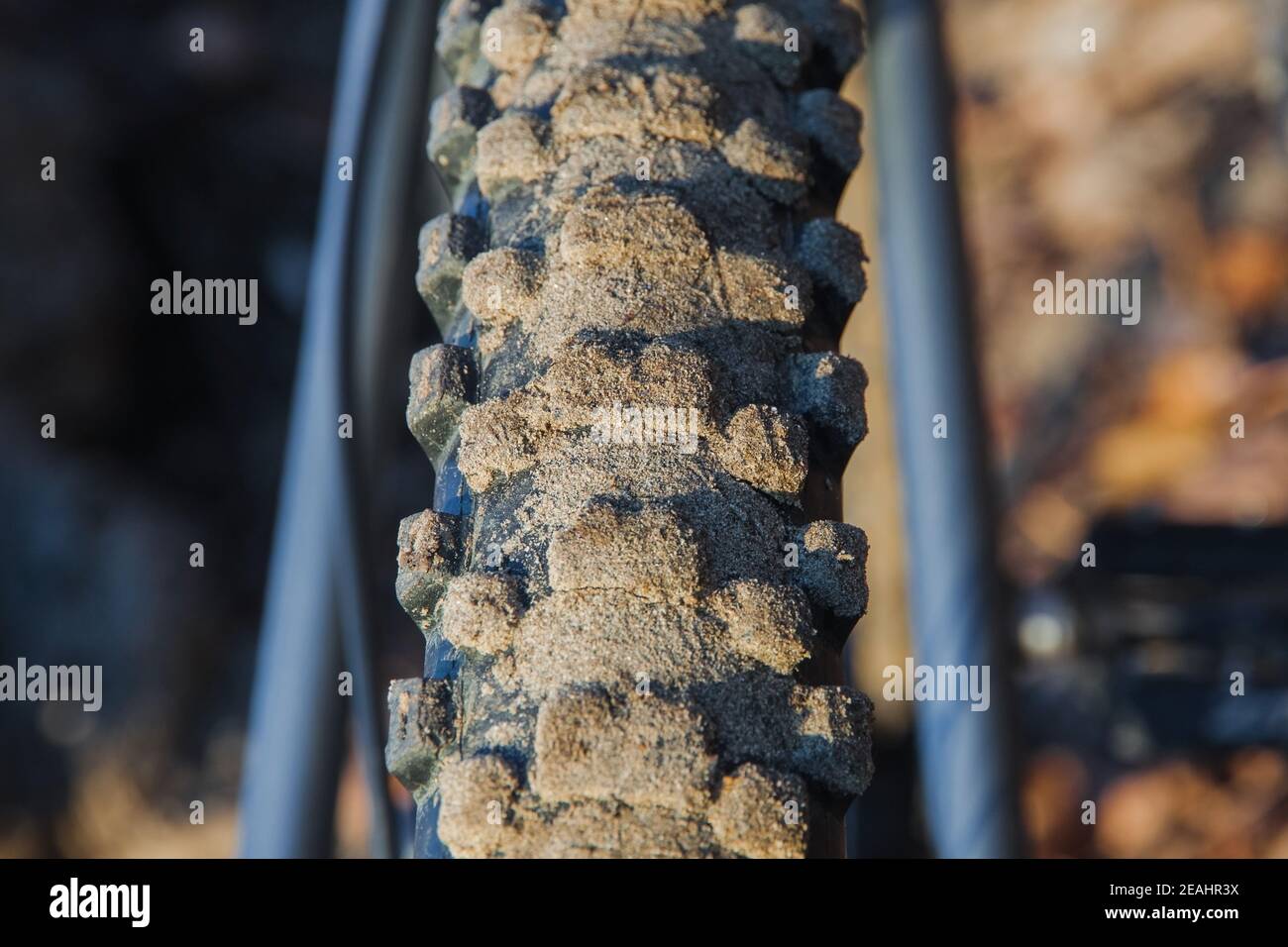 A spiked mountain bike wheel in the sand Stock Photo - Alamy
