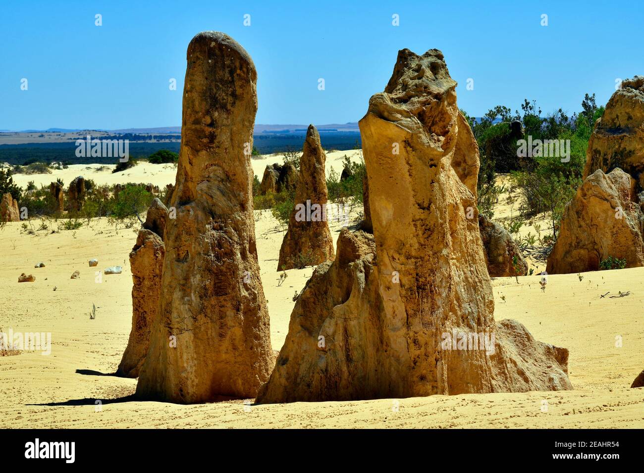 Australia, WA, The Pinnacles in Nambung National Park, preferred ...
