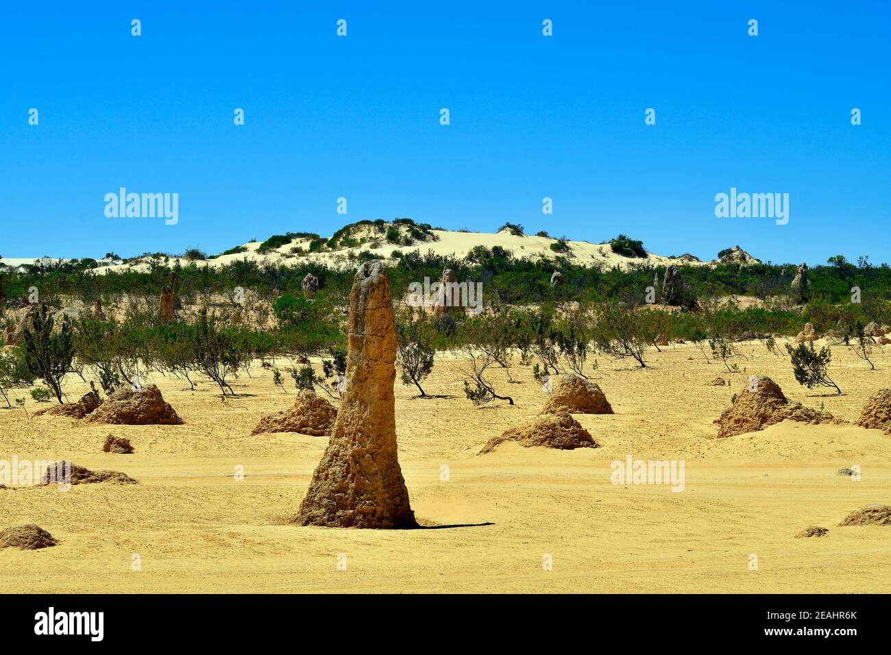 Australia, WA, The Pinnacles in Nambung National Park, preferred ...