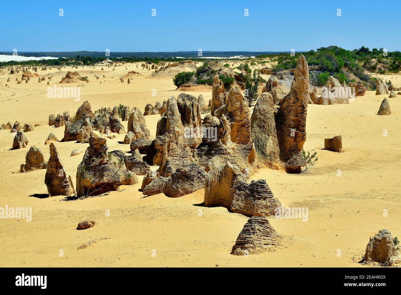 Australia, WA, The Pinnacles in Nambung National Park, preferred ...