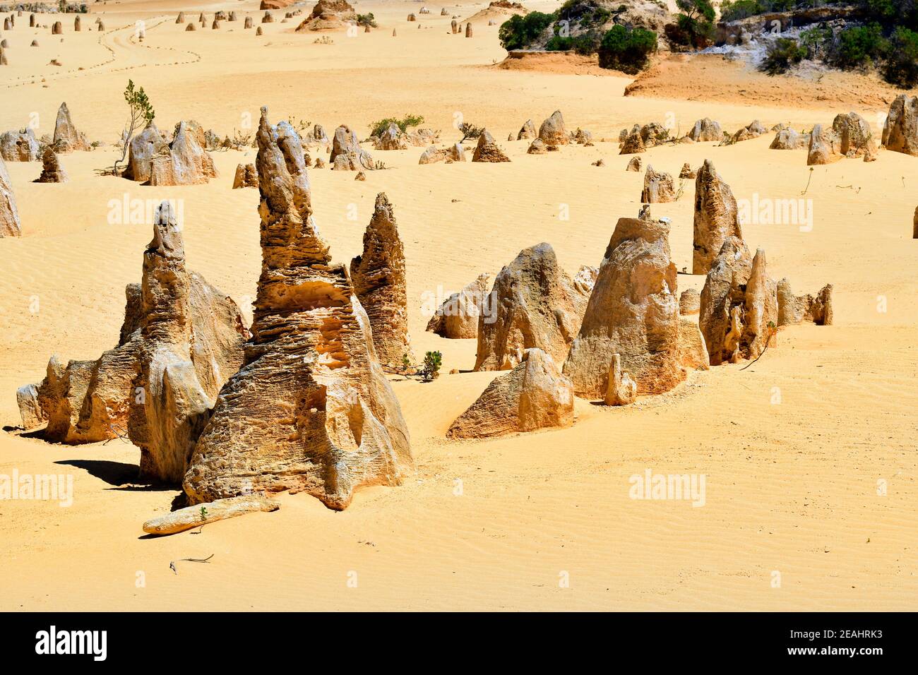 Australia, WA, The Pinnacles in Nambung National Park, preferred ...