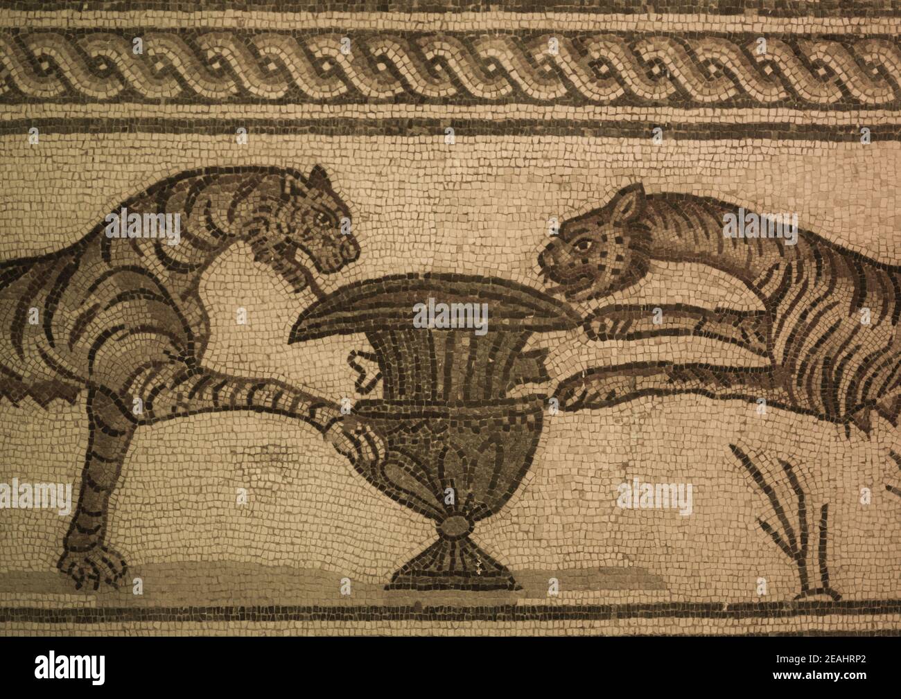Roman mosaic, Cyrenaica, Tocra, Libya Stock Photo - Alamy