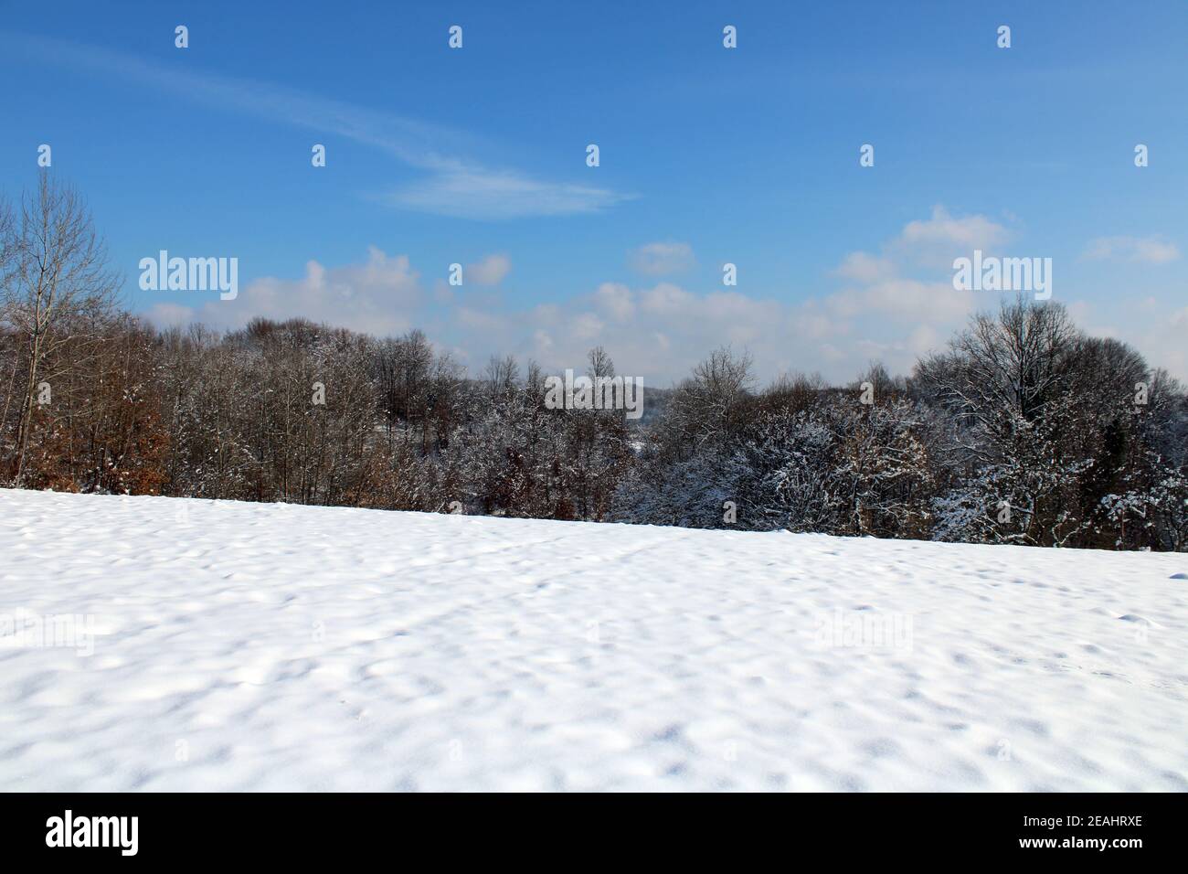 February nature winter scenes of Zagreb's surroundings, Croatia Stock ...