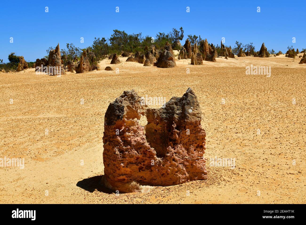 Australia, WA, The Pinnacles in Nambung National Park, preferred ...
