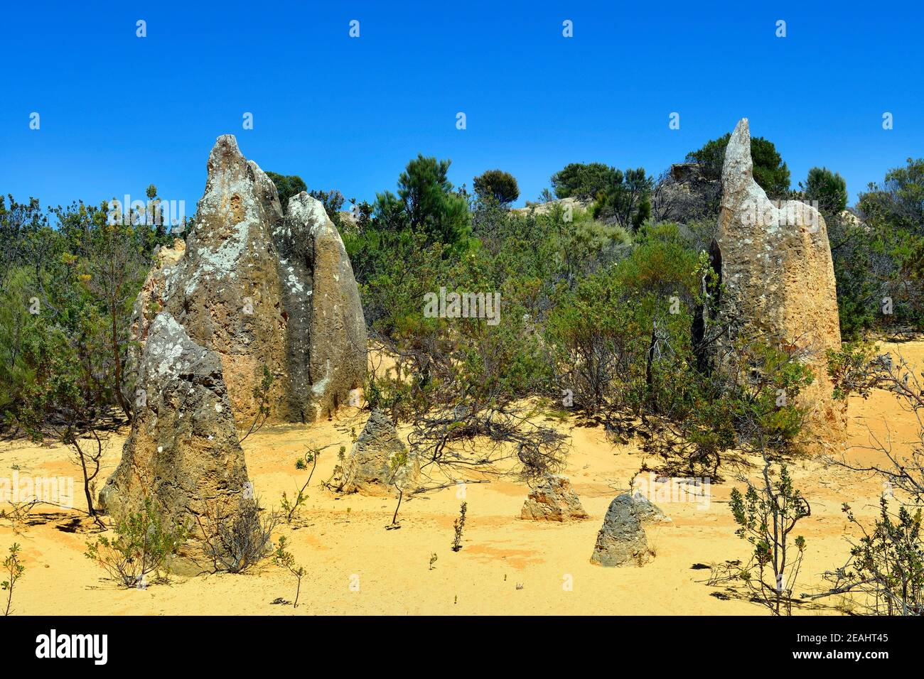 Australia, WA, The Pinnacles in Nambung National Park, preferred ...