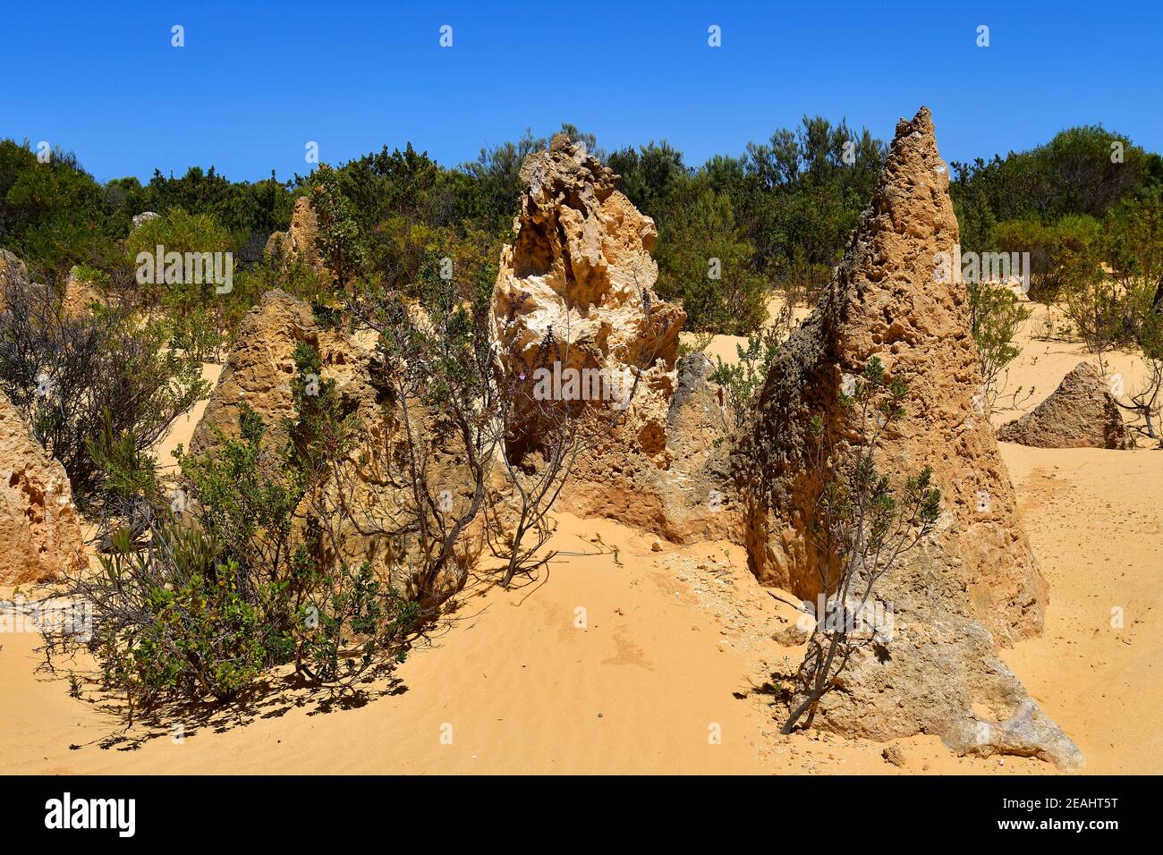 Australia, WA, The Pinnacles in Nambung National Park, preferred ...