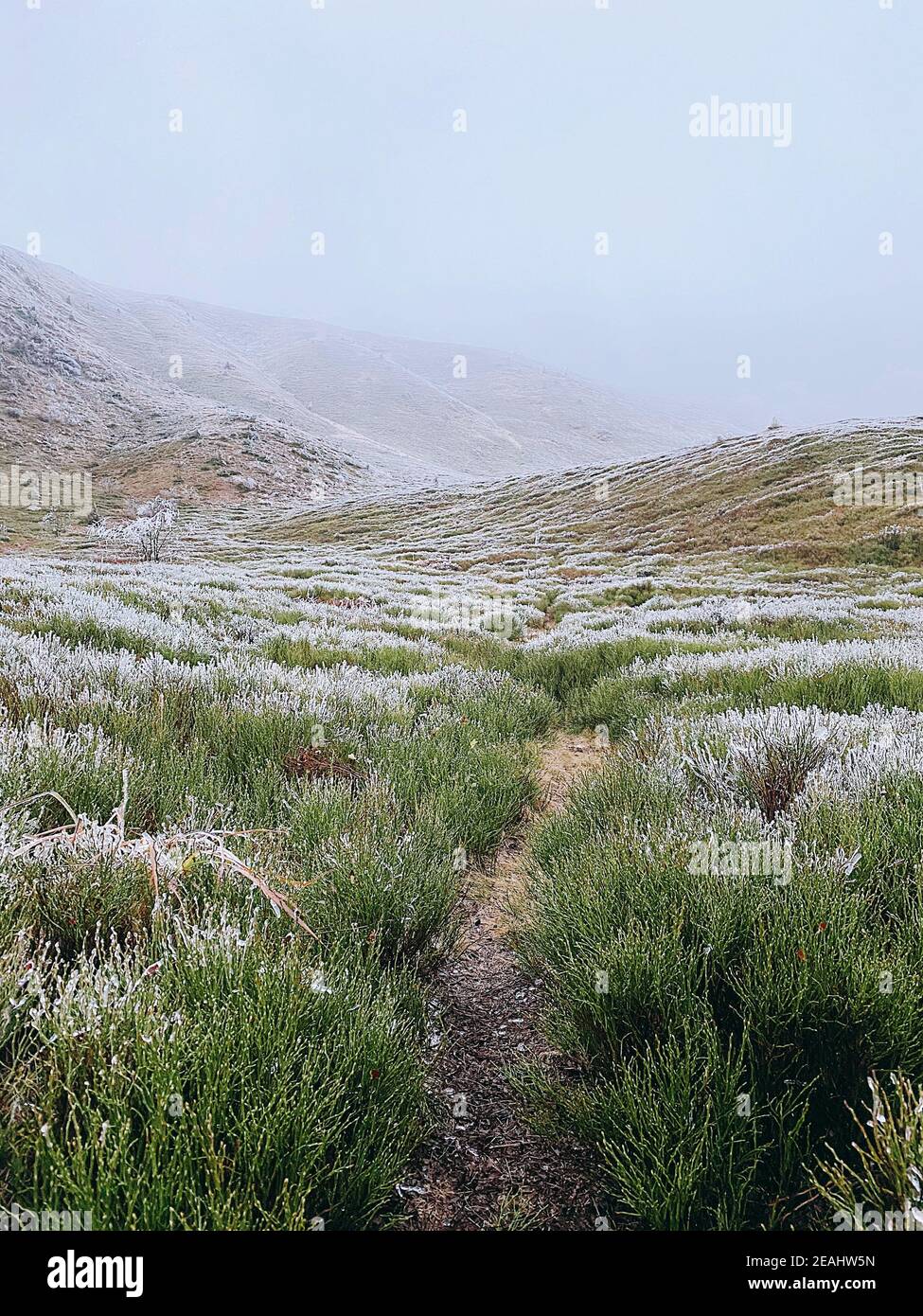Mountains of frosting hi-res stock photography and images - Alamy