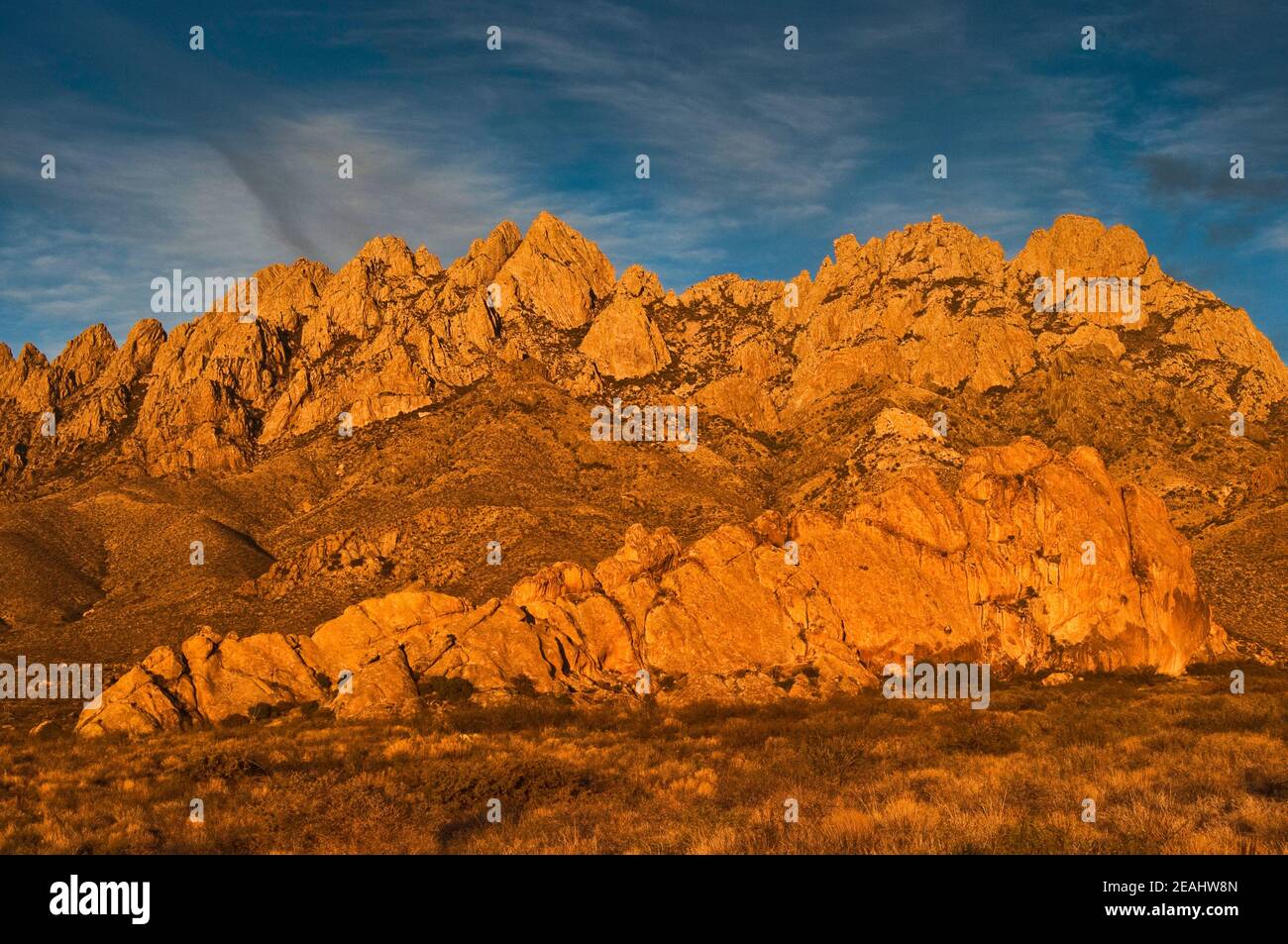 Organ mountain recreation area hi-res stock photography and images - Alamy