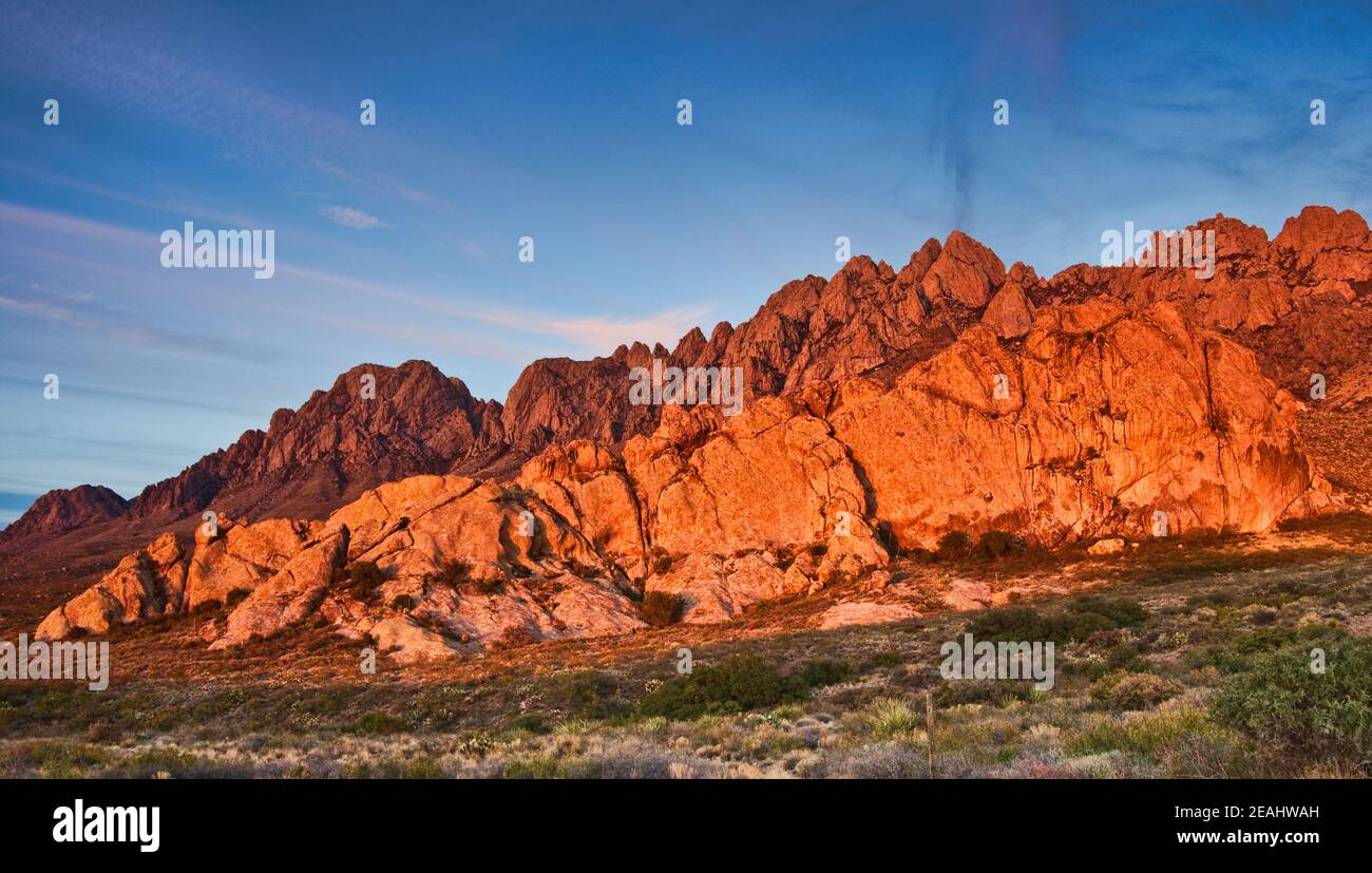 Organ mountain recreation area hi-res stock photography and images - Alamy