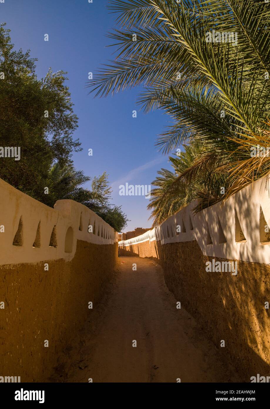Narrow street in the oasis, Tripolitania, Ghadames, Libya Stock Photo ...