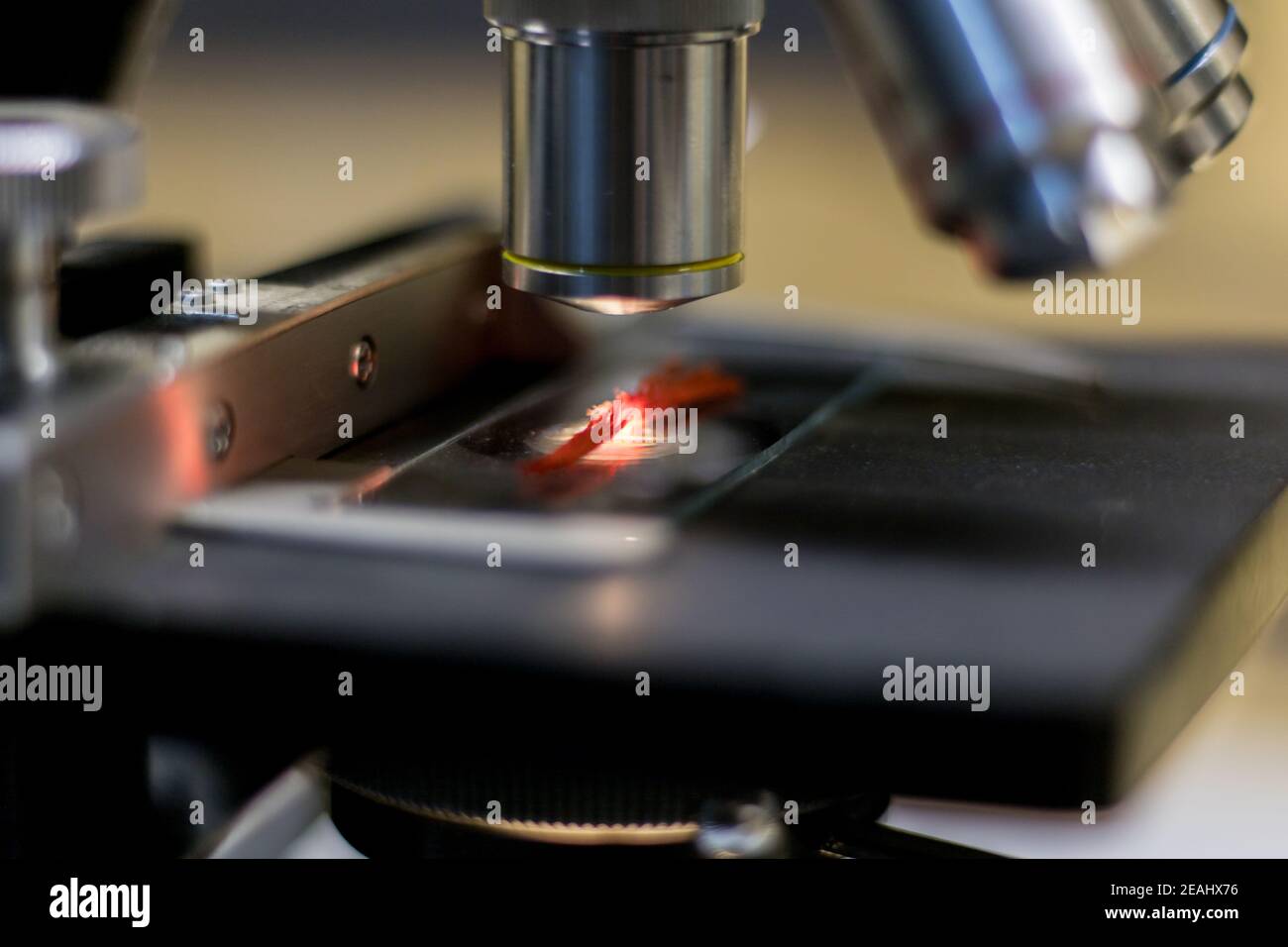 Intertwining of threads hi-res stock photography and images - Alamy