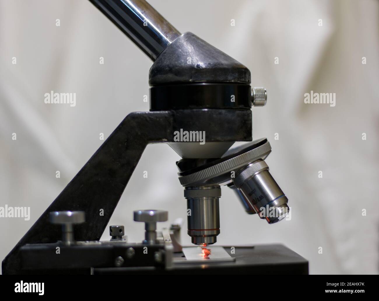 Cotton fiber microscope hi-res stock photography and images - Alamy