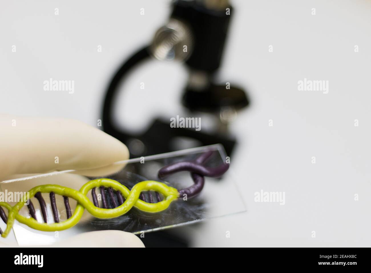 Blood sample on microscope slide hi-res stock photography and images ...