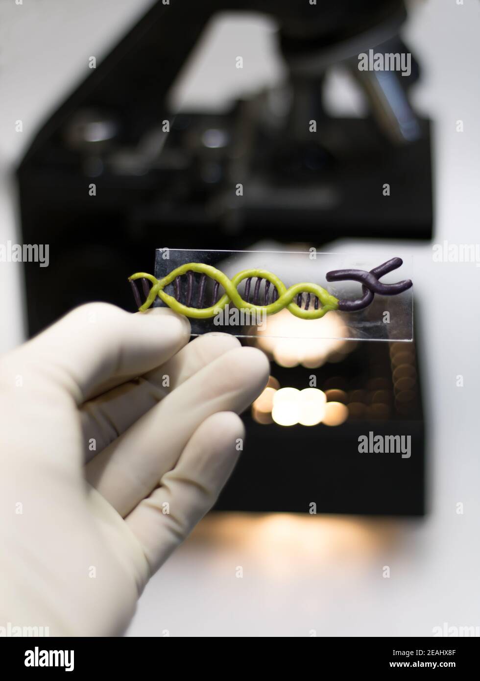 Microscope and dna hi-res stock photography and images - Alamy