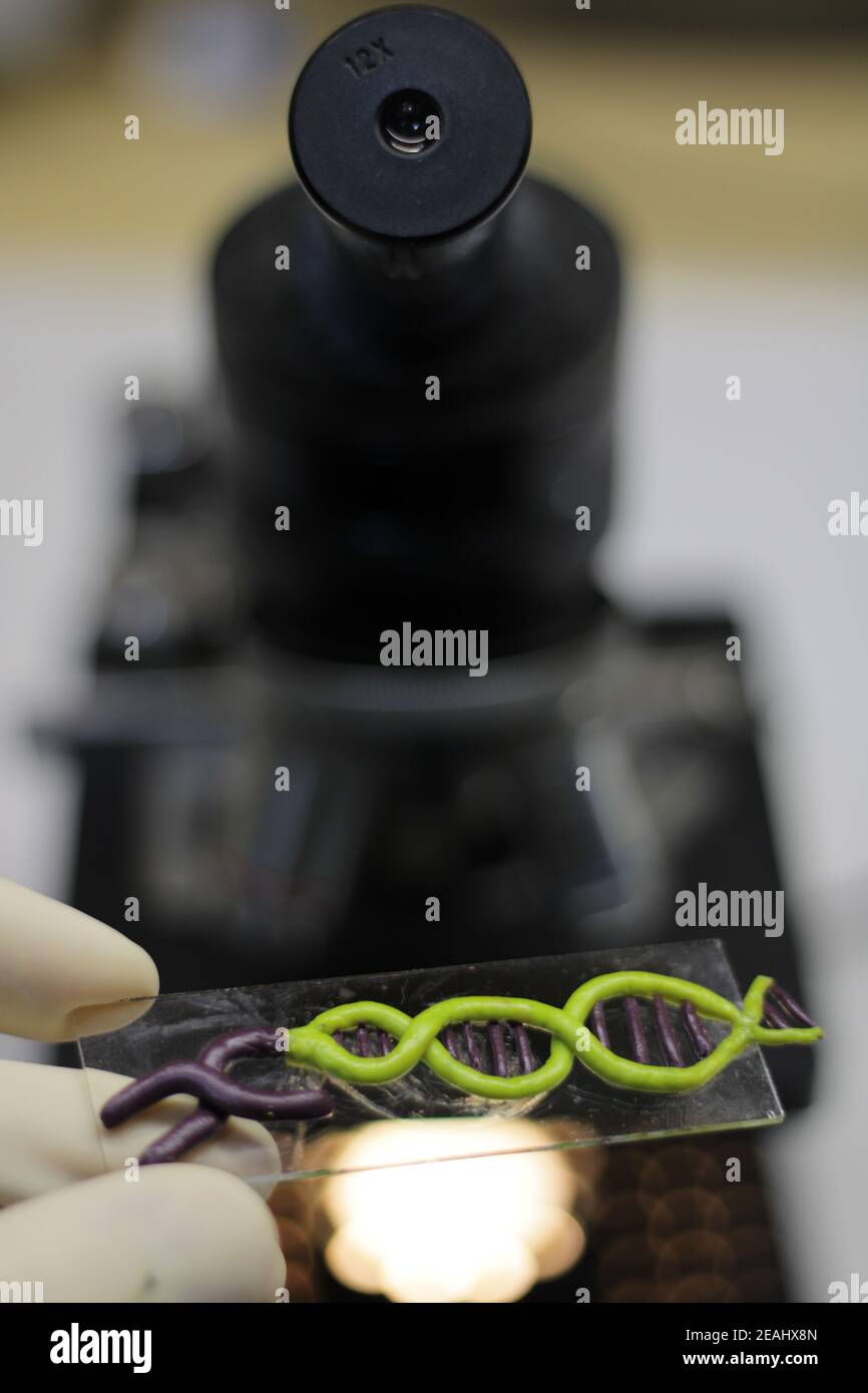 Analysing dna sample hi-res stock photography and images - Alamy