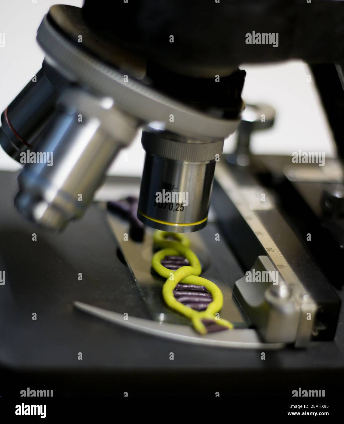 Analysing Dna Sample High Resolution Stock Photography and Images - Alamy