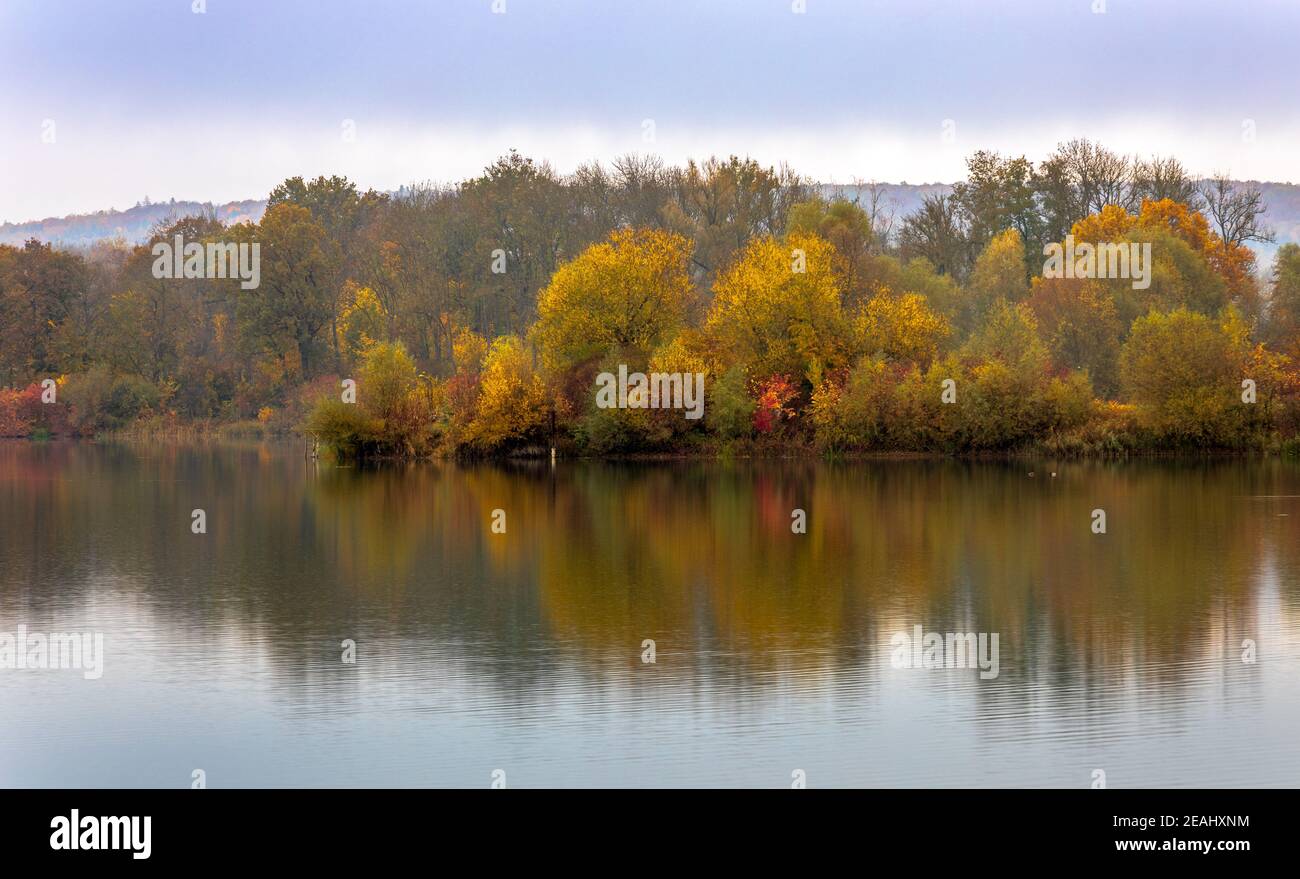 Small lake in autumn in germany hi-res stock photography and images - Alamy