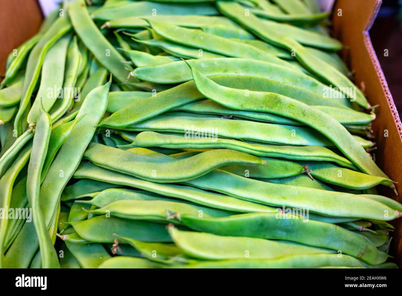 Crop green bean pods hi-res stock photography and images - Alamy