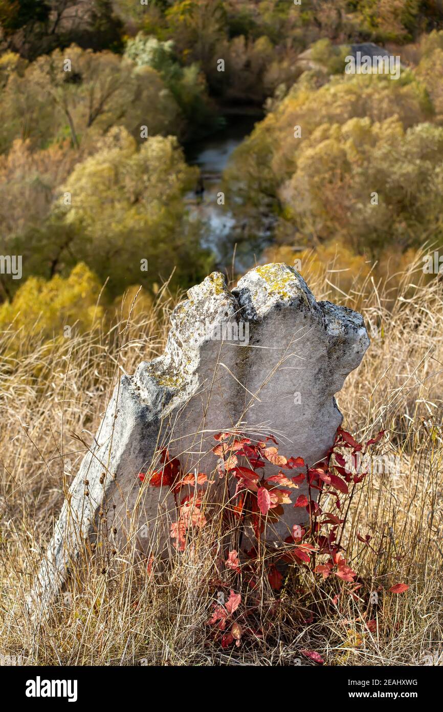 Tombstones on a background of dry grass in a cemetery Stock Photo - Alamy