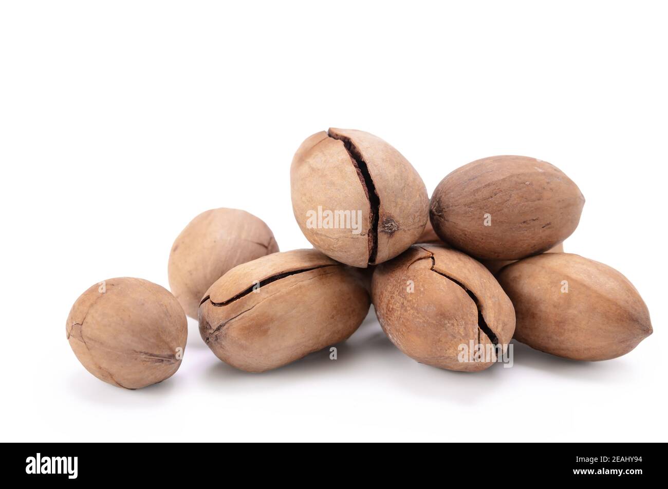 pecan on white background Stock Photo - Alamy