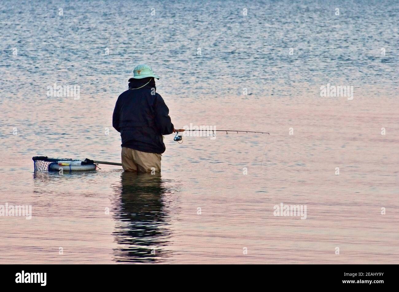 Pelican man hi-res stock photography and images - Alamy