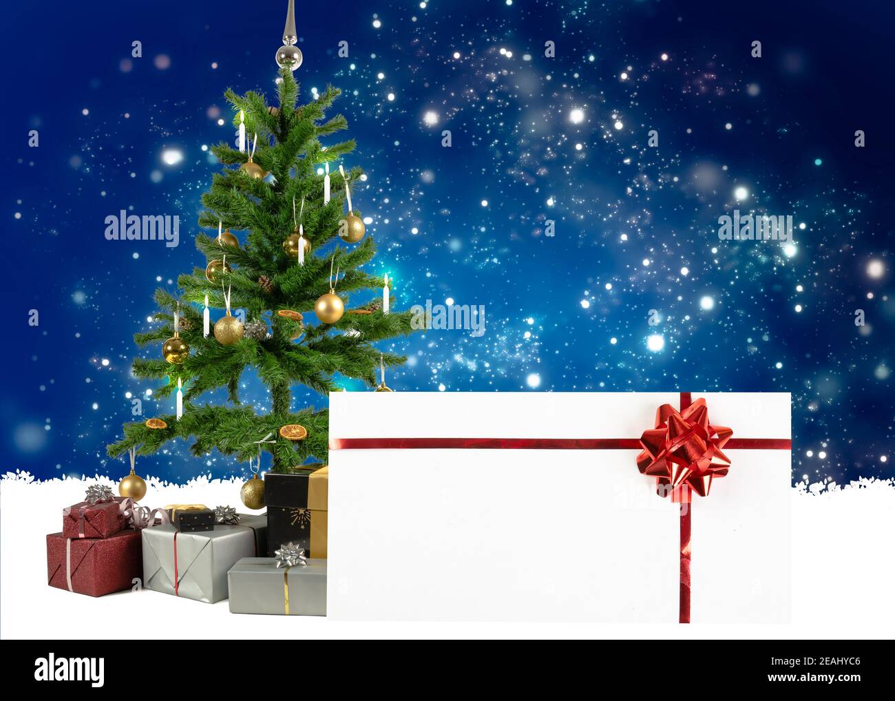 Blank tree hi-res stock photography and images - Alamy