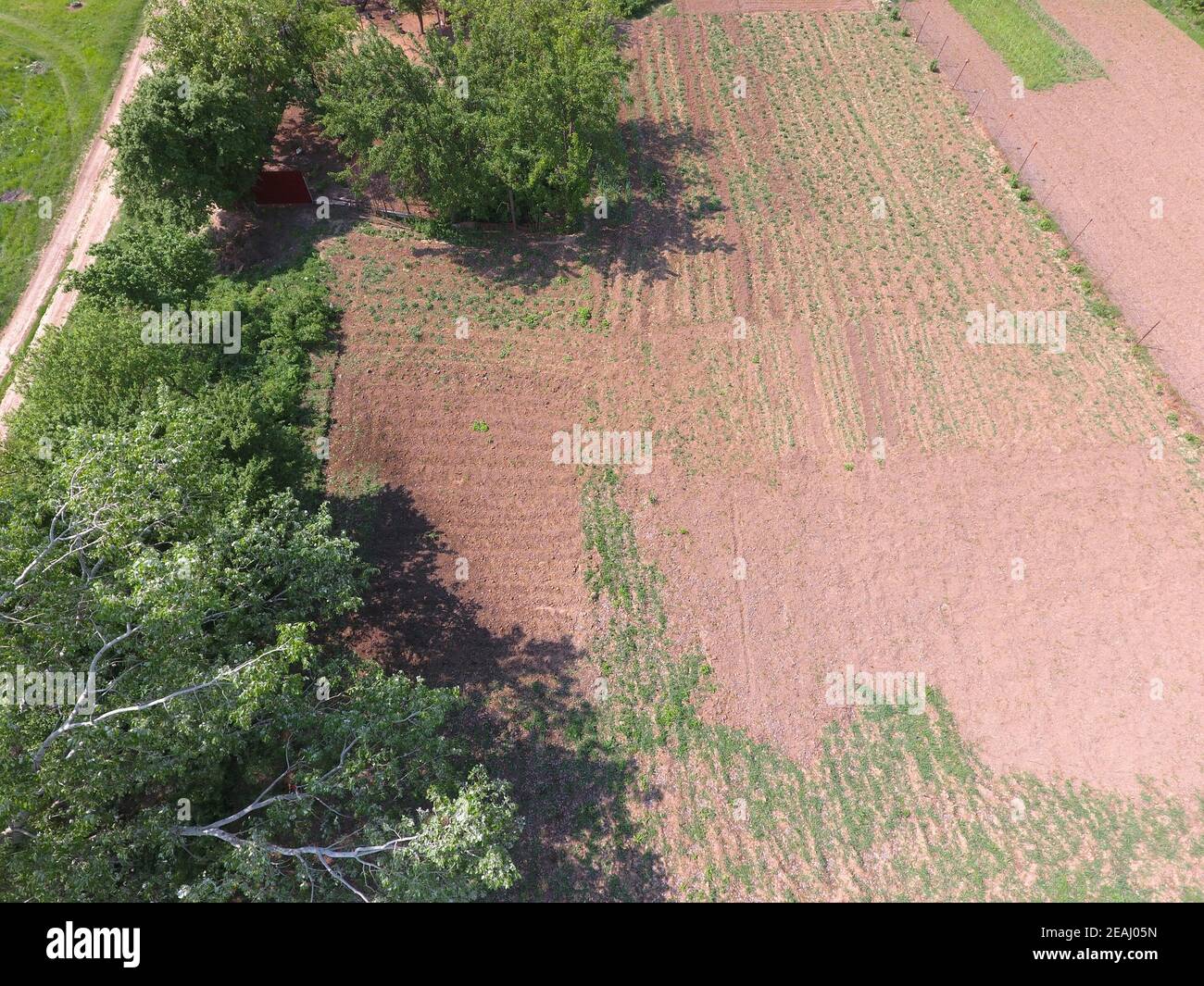top view of the homestead garden. spring planting in the garden Stock ...
