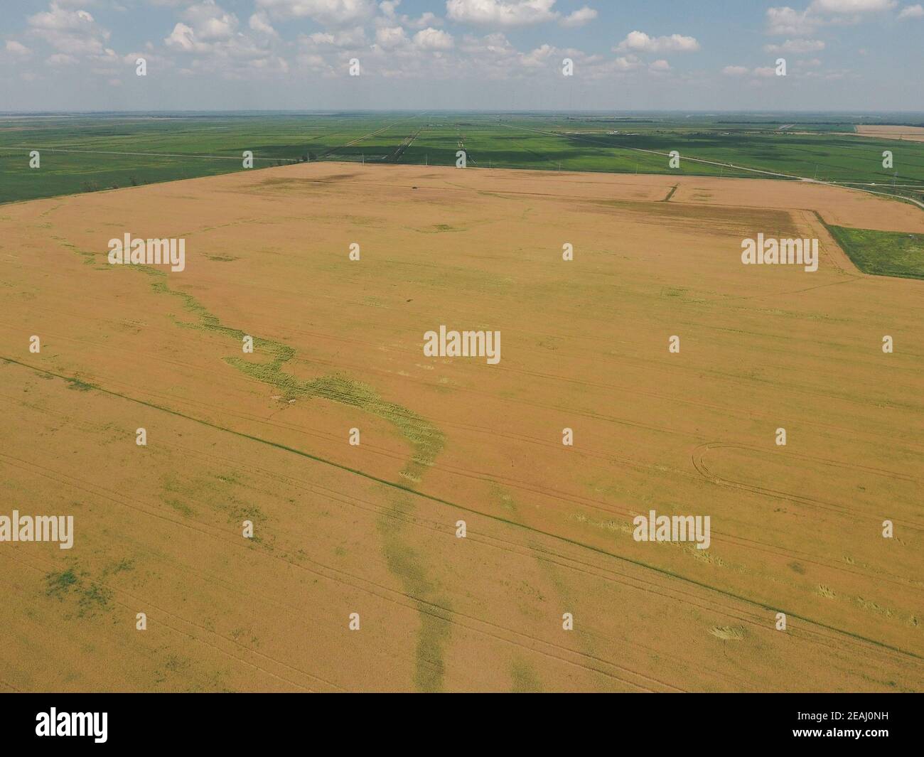 Aerial view farmland wheat field hi-res stock photography and images ...