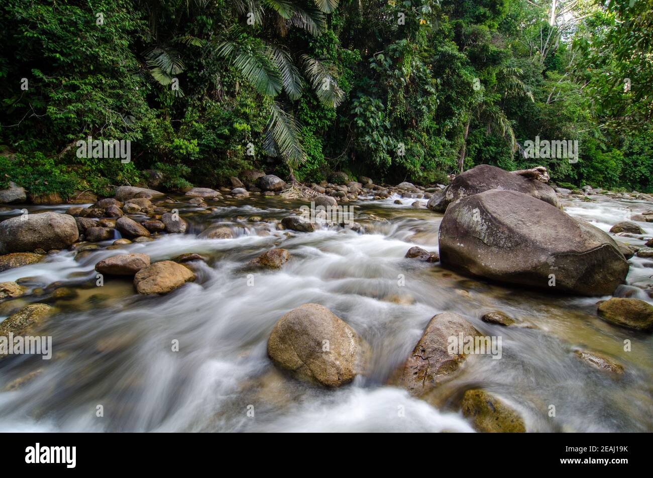 Rock in slow water hi-res stock photography and images - Alamy