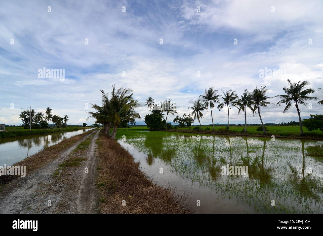 Asian travel path hi-res stock photography and images - Alamy