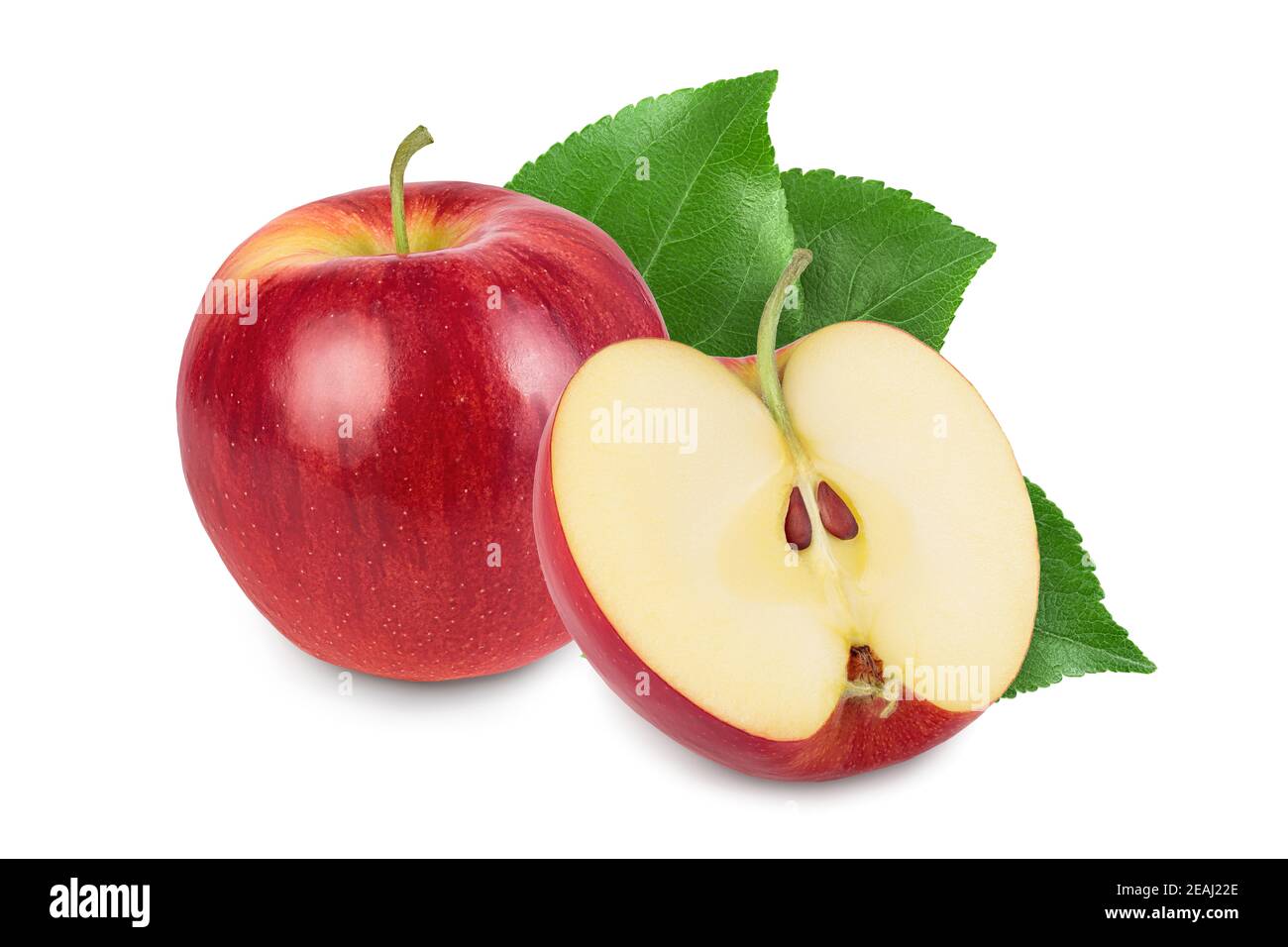 Red apple with half isolated on white background with clipping path and ...