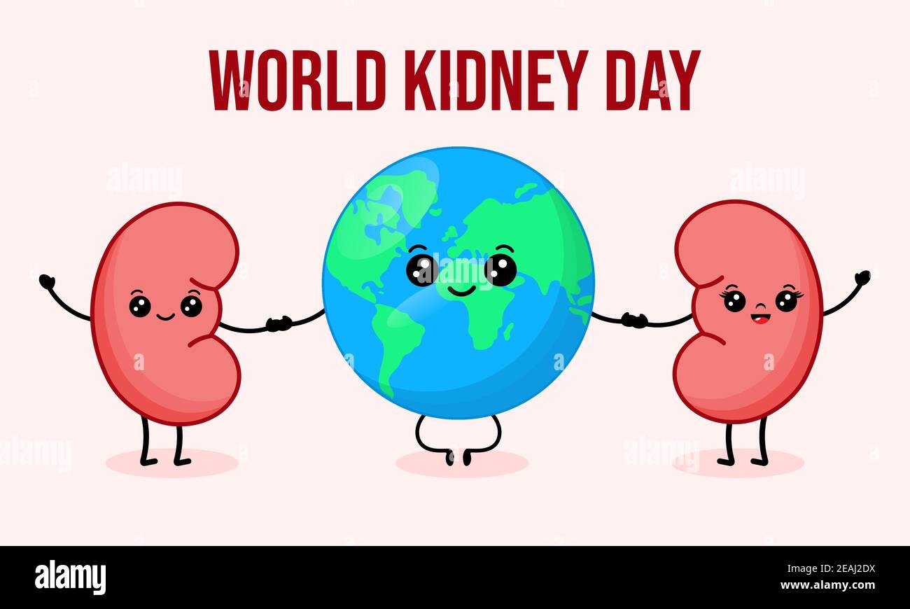 Vector illustration for world kidney day. Cartoon couple of kidneys ...