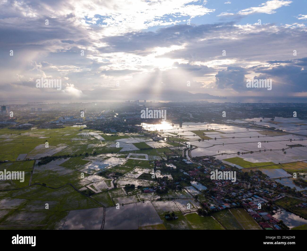 Aerial view magnificent sun ray over paddy field Stock Photo - Alamy