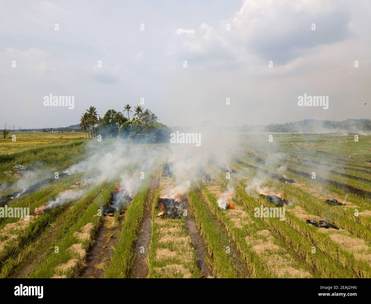 Aerial view open fire Stock Photo - Alamy