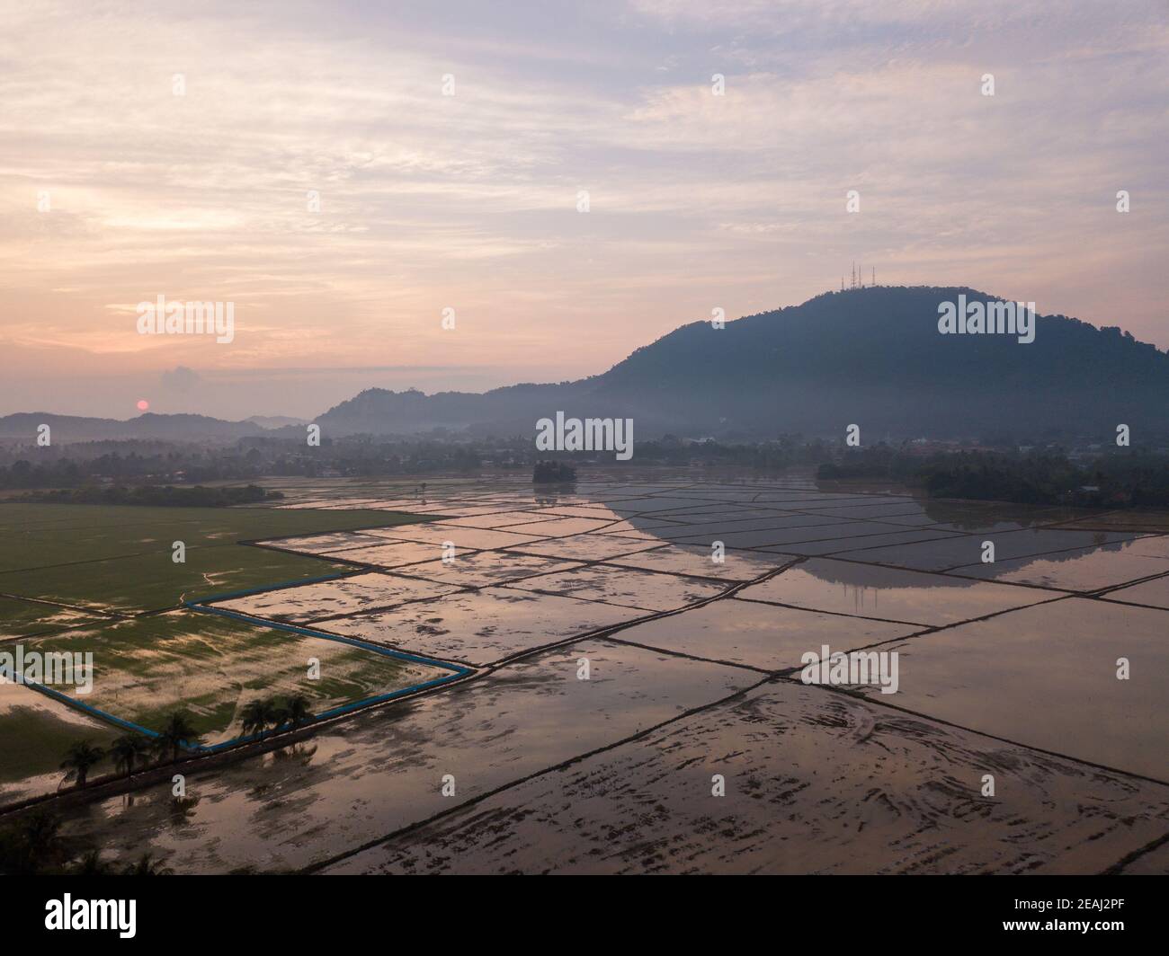 Aerial view paddy field in water season Stock Photo - Alamy