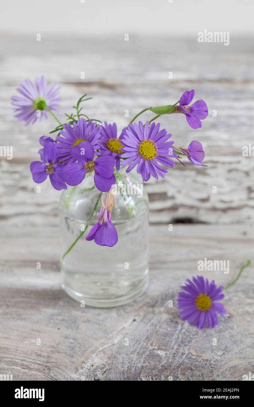 Nostalgic Flower Still Life With Stock Photo - Alamy