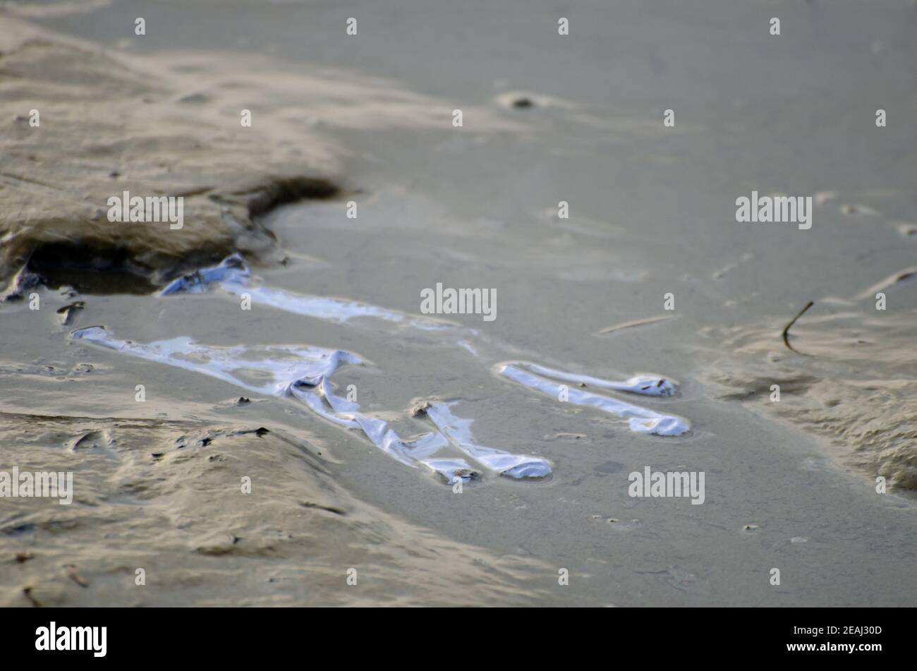Latex recycling hi-res stock photography and images - Alamy