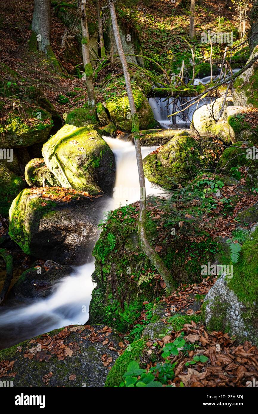 Stream flowing water through forest hi-res stock photography and images ...