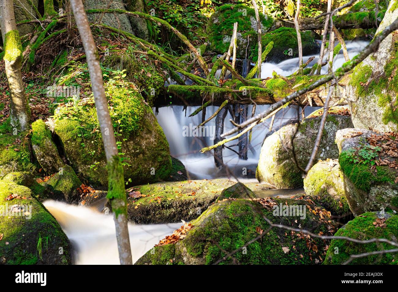 Woodland waterfall flowing through hi-res stock photography and images ...