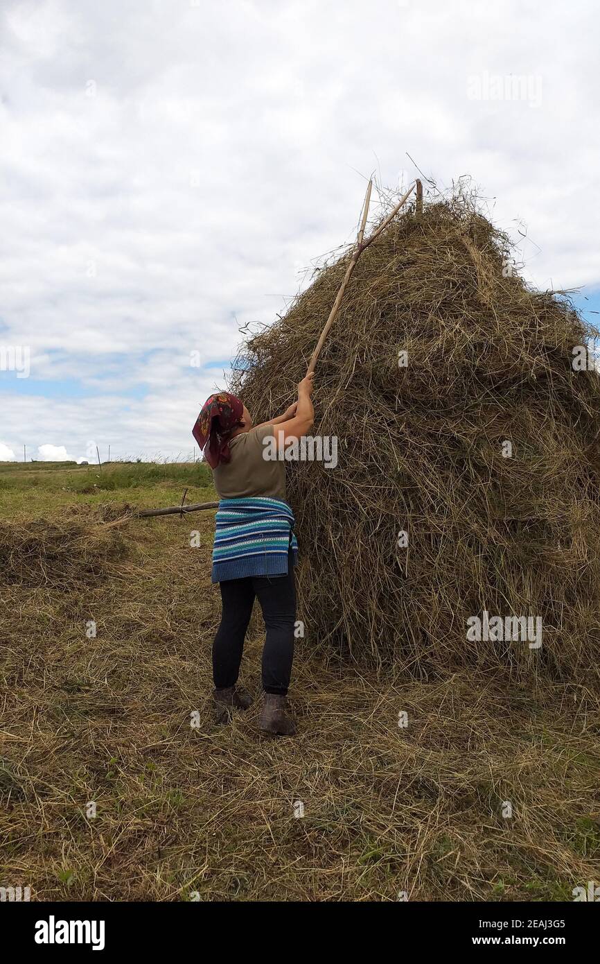 Old woman tractor on farm hi-res stock photography and images - Alamy