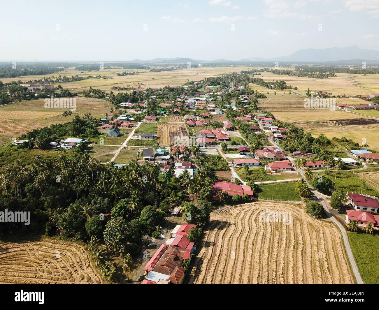 Aerial view of paddy field hi-res stock photography and images - Alamy Aerial view of paddy field hi-res stock photography and images - Alamy