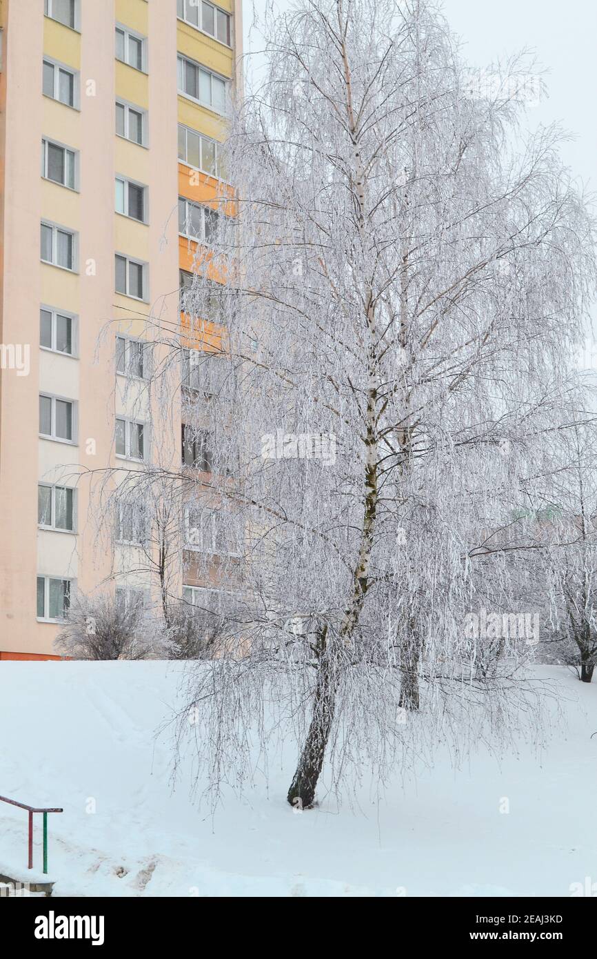 City view with trees hi-res stock photography and images - Alamy