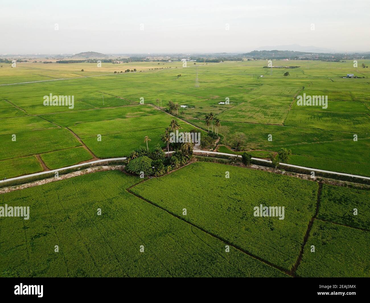 Beautiful paddy field hi-res stock photography and images - Alamy